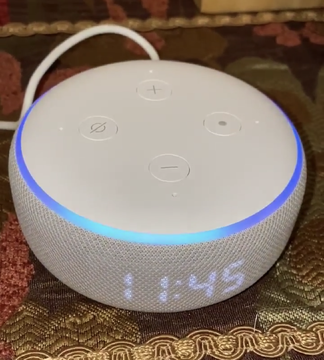 Voice-activated virtual assistant guide - Independent Living Centre