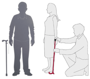 Walking stick guide - Independent Living Centre